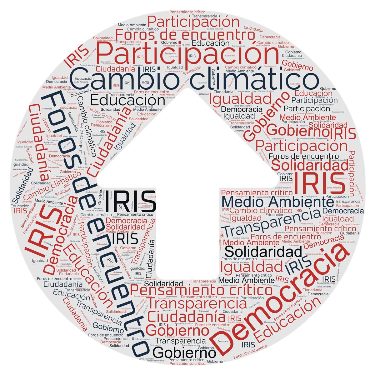 Iniciativas y Formación – Red Académica de Gobierno Abierto ...